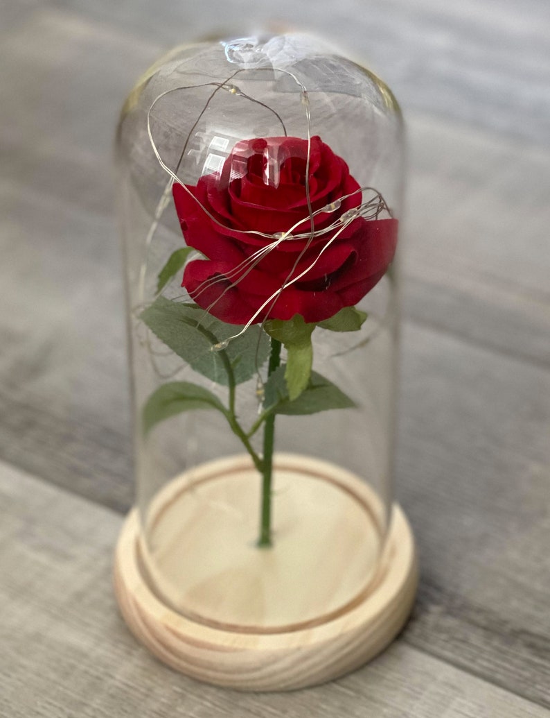 Red Rose in Glass Dome With LED Light Beauty and the Beast - Etsy
