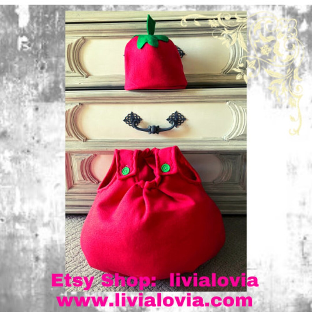 Tomato Costume, Dumpling Costume, Cherry Costume, Apple Costume, Onion ...