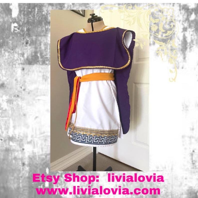 Greek Costume, Roman Emperor Costume, Toga, Caesar Costume, Ancient ...