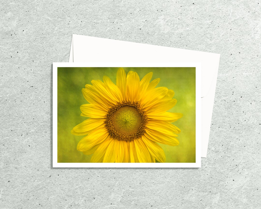 Sunflower Art Note Cards Handmade, Sunflower Photo Greeting Card With ...
