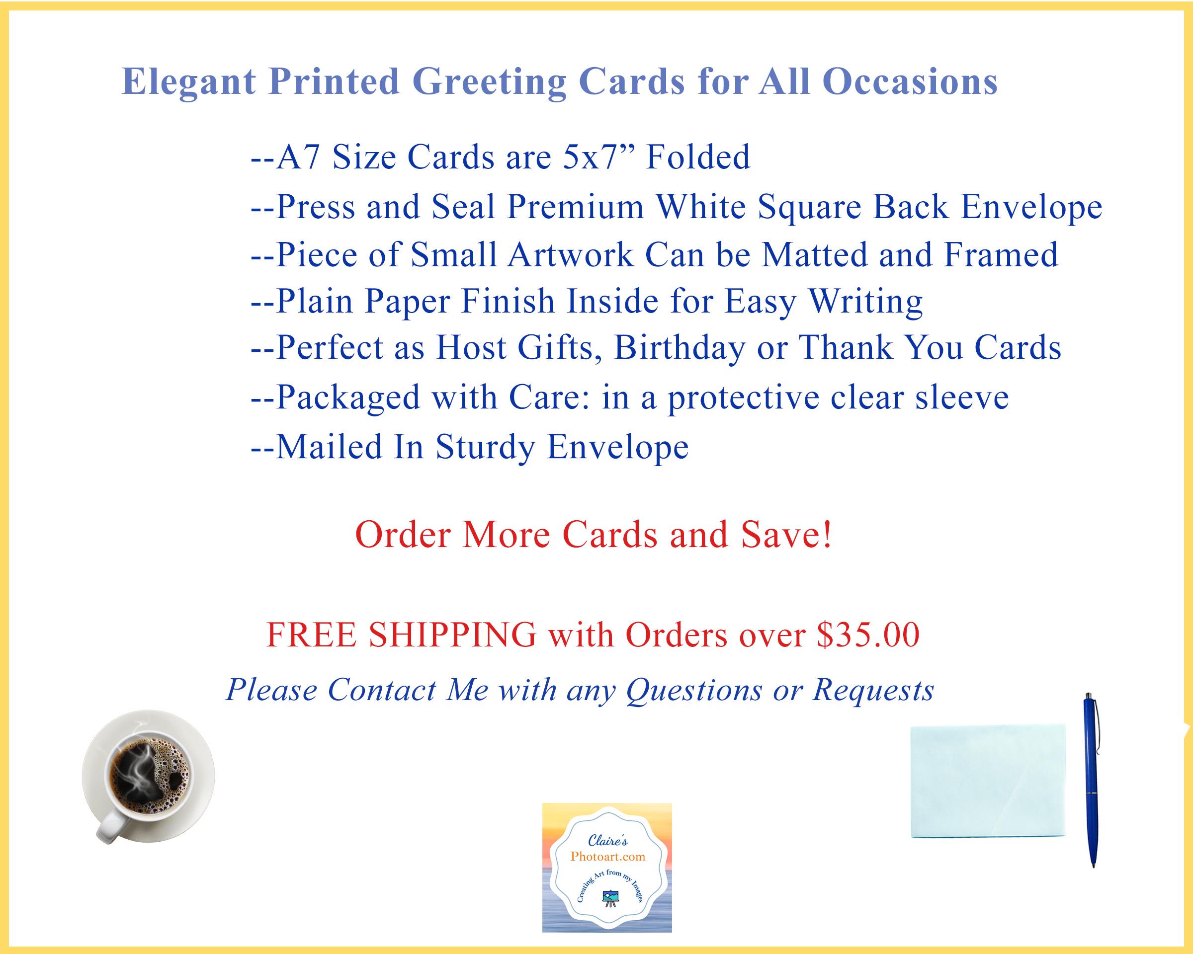 Daisy Photo Note Cards, Flower Photo Greeting Cards Handcrafted With ...