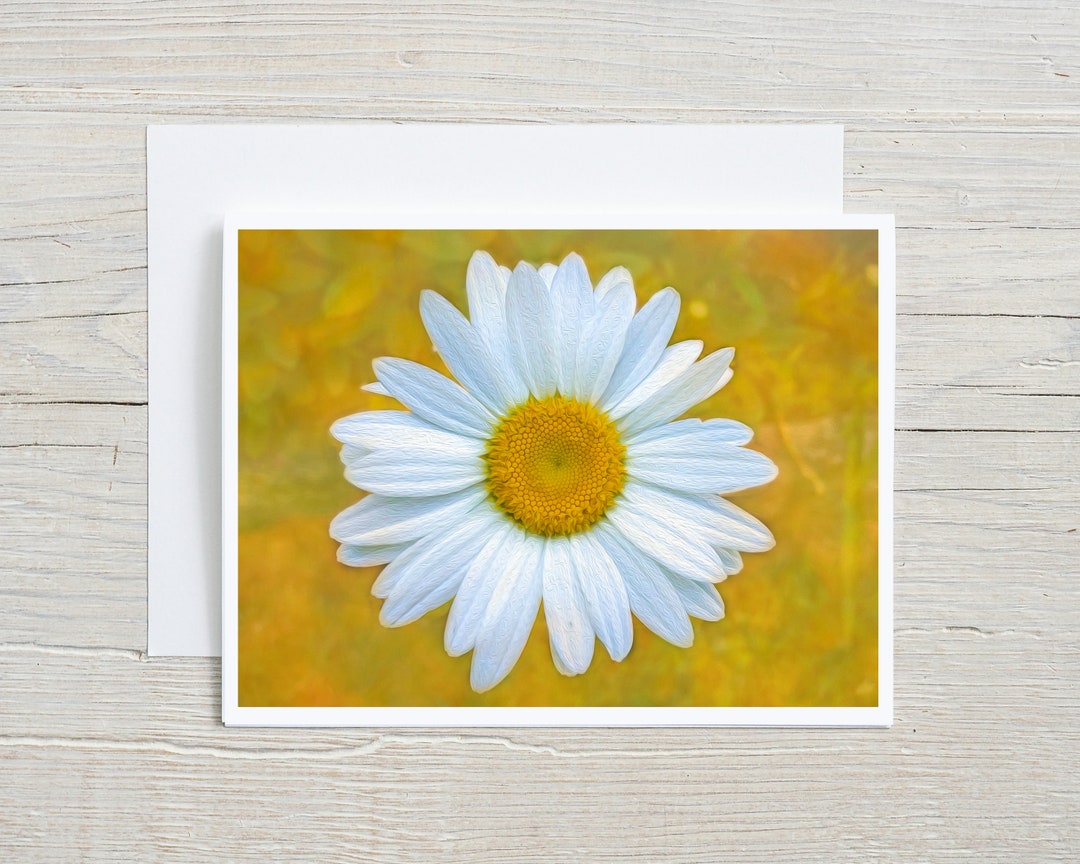 Daisy Flower Photo Note Cards Handmade, Wild Daisies Card With ...