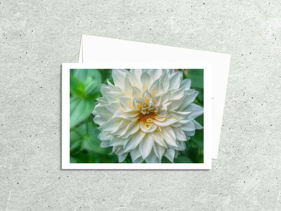 Dahlia Flower Photo Greeting Card for All Occasions Luxury Floral ...