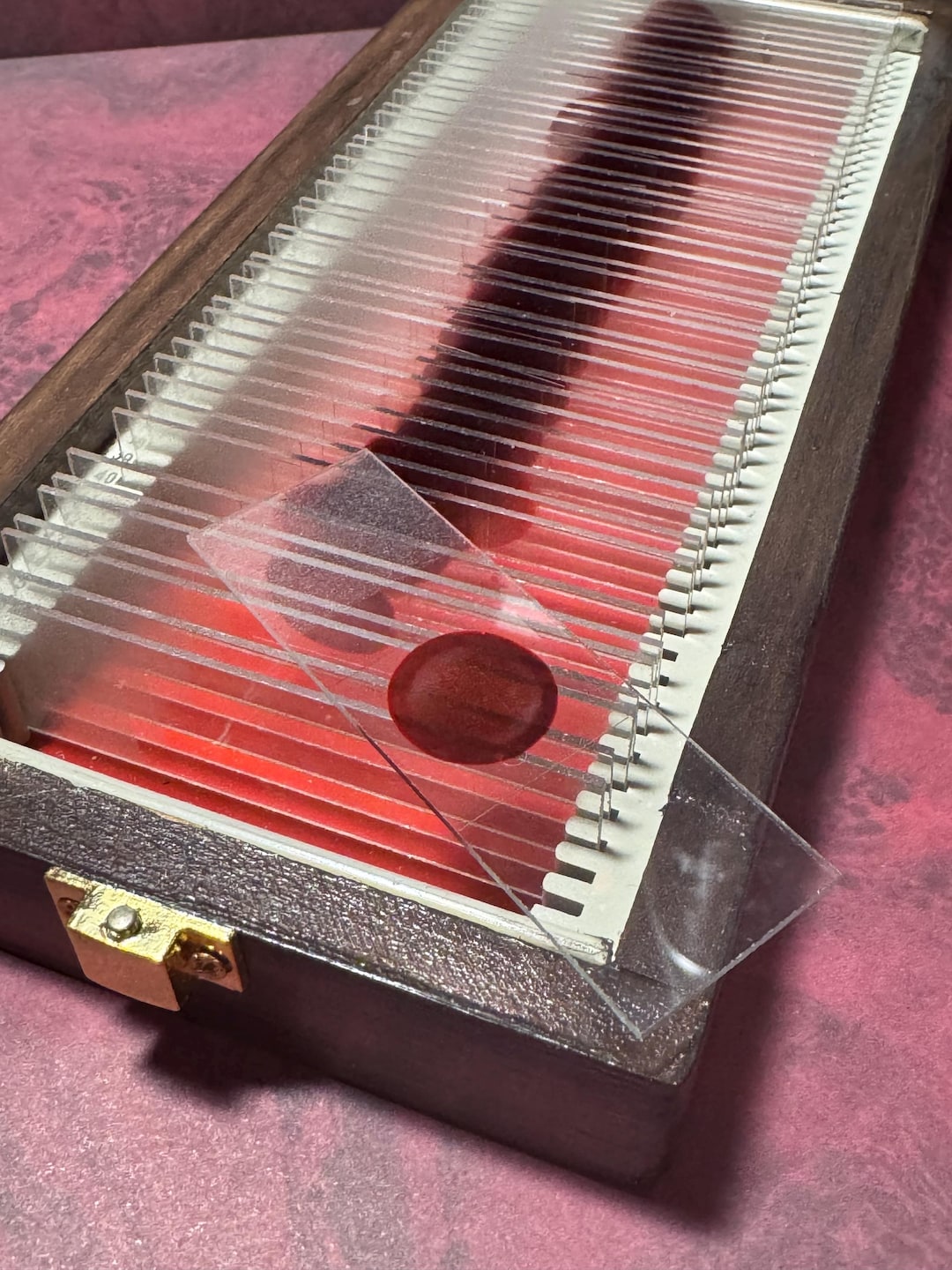 Dexter Blood Slide Box With Blood Slides & 2 I.D. Badges - Etsy