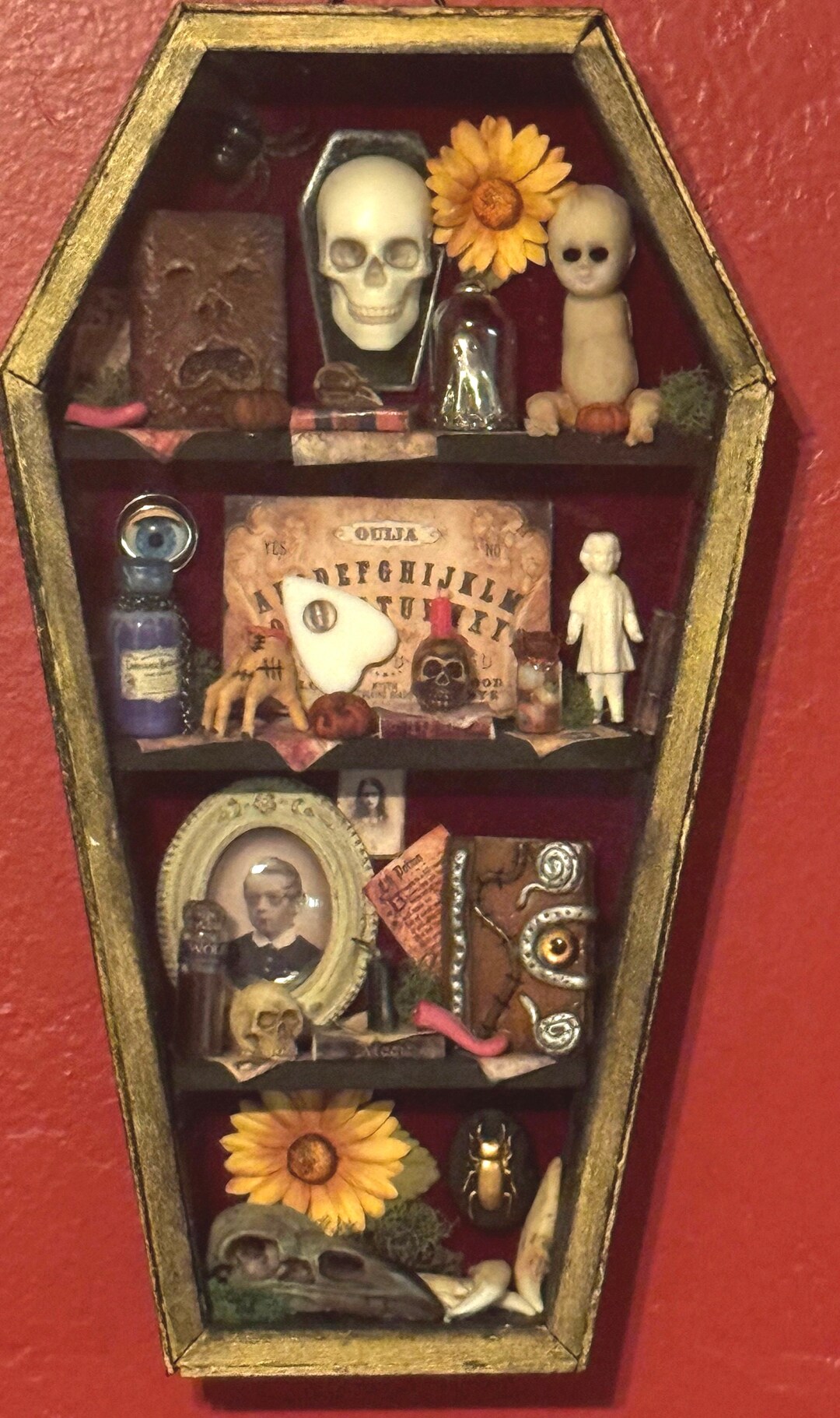 Goth Mini Coffin Curio Shadowbox, Wall Hanging, 12x7 Creepy, Halloween ...