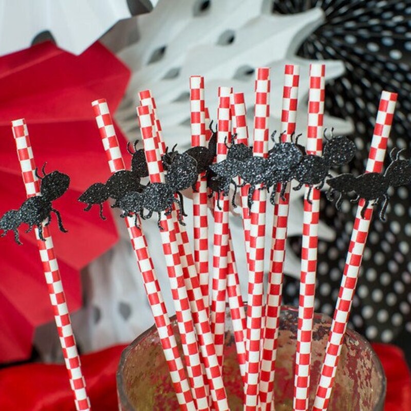 Picnic Decorations - Etsy - Page 3