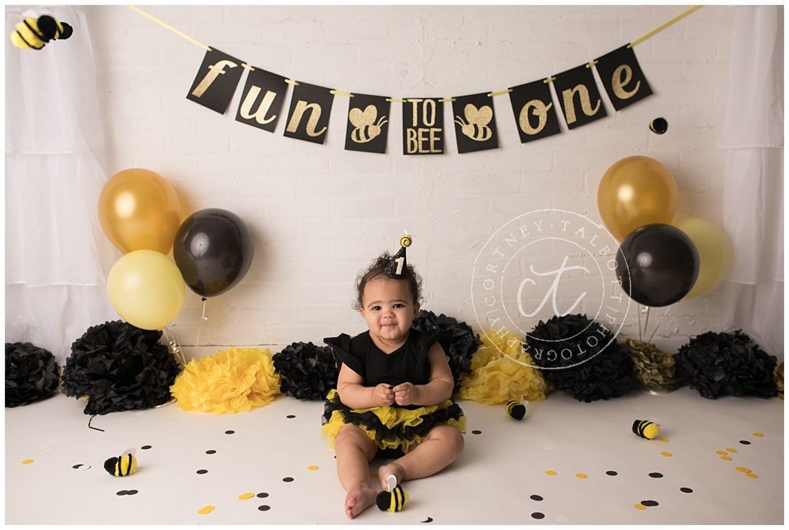 Bumble Bee Decorations Fun to Bee One Banner Bumble Bee - Etsy