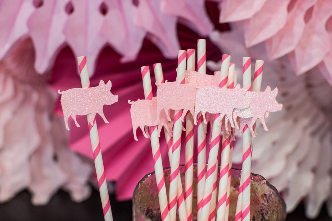 Pig Party Decorations, Pig Baby Shower Decorations, Pig Birthday,little ...