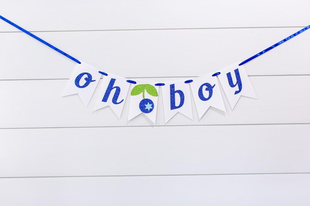Blueberry Baby Shower. Blueberry Baby Shower for Boy. Oh Boy Banner ...
