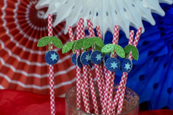 Blueberry Party Decorations. Blueberry Birthday Decorations. Picnic ...