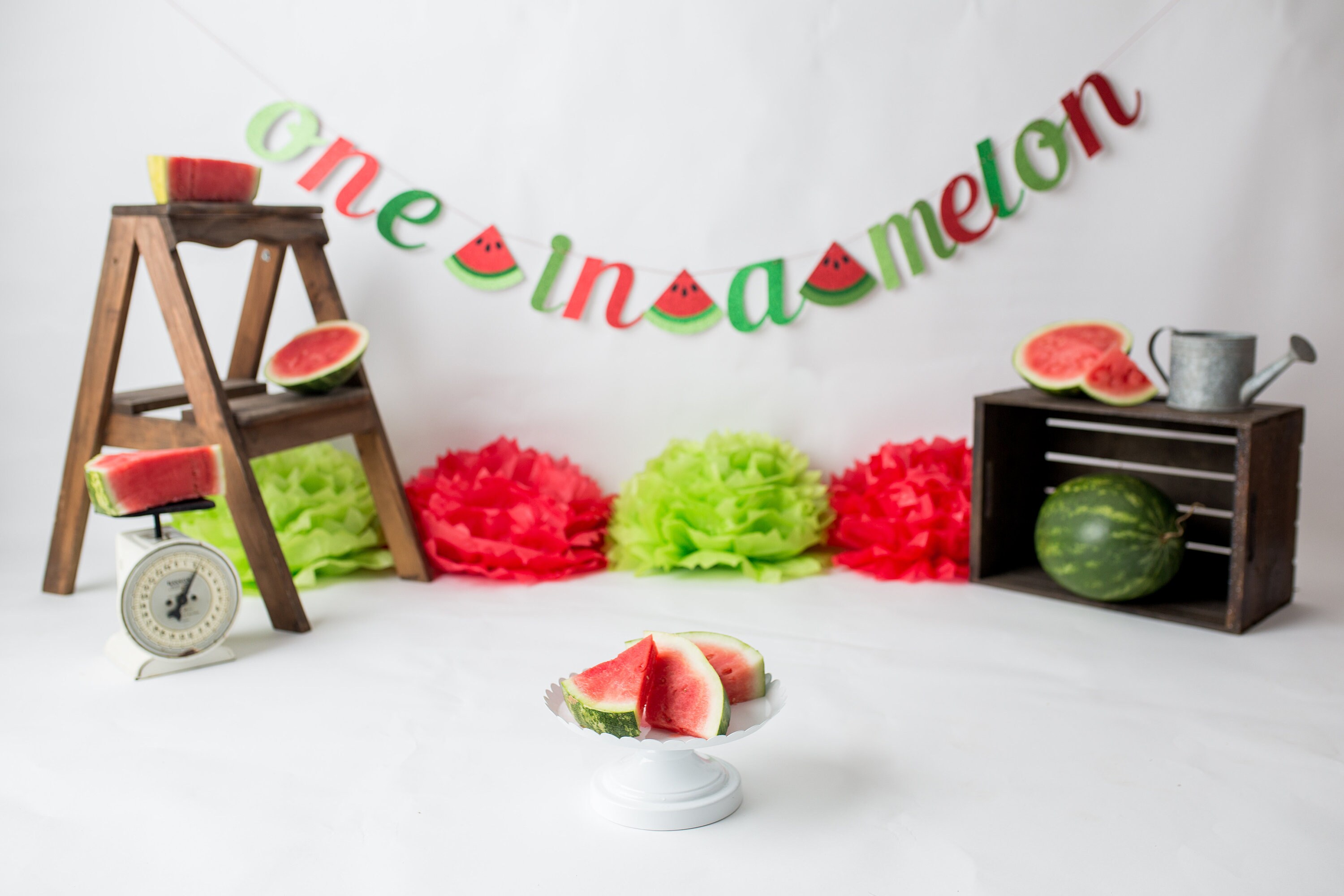 One in A Melon Banner One in A Melon Birthday Watermelon | Etsy