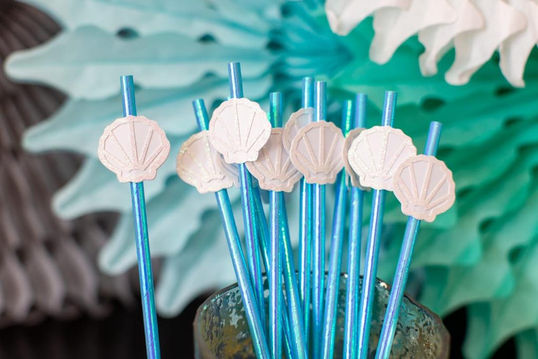 Seashells and Wedding Bells. Seashells and Wedding Bells Bachelorette ...