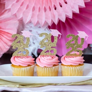 Pink Graduation Party Decorations. Pink Class of 2025 Graduation Decor ...