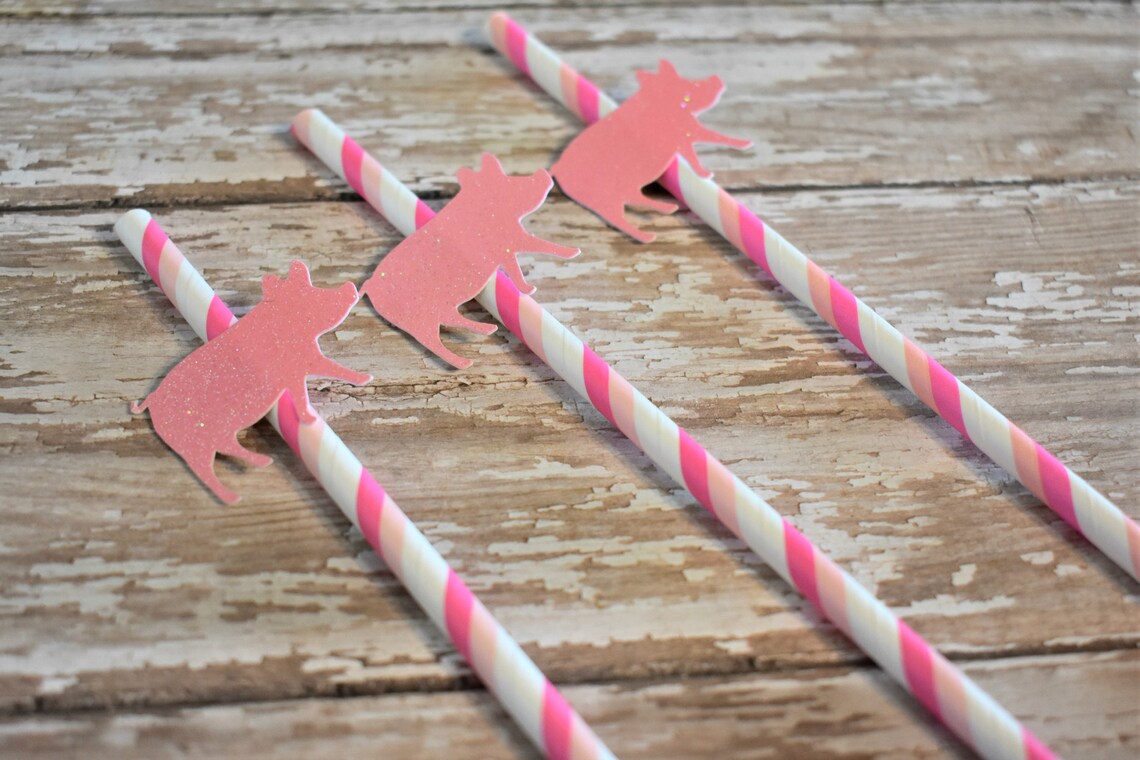 Pig Party Decorations Pig Baby Shower Decorations Pig - Etsy