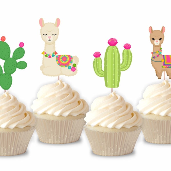 Cactus Birthday Party - Etsy