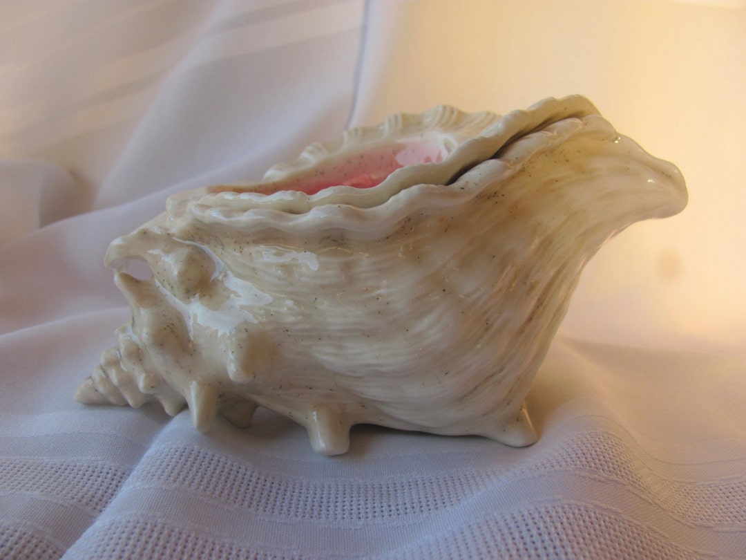 Shell Violet Pot - Small - Etsy