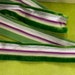 Vintage French Stripe Ribbon. Sold by the Yard. Made in - Etsy
