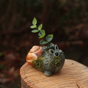 Cat Sculpture, Snail Shell, Polymer Clay, Brown, Green, Fantasy Art ...