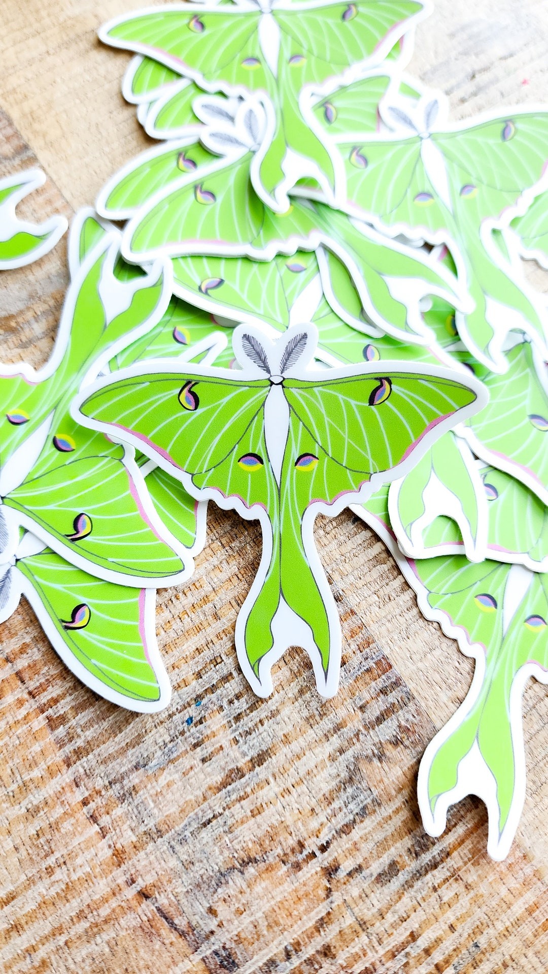 Luna Moth Sticker, Vinyl Sticker, Fade and Scratch Resistant, Insect ...
