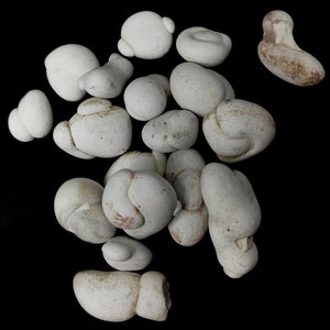 Menilite - Fairy Stone Concretion- Raw - Etsy
