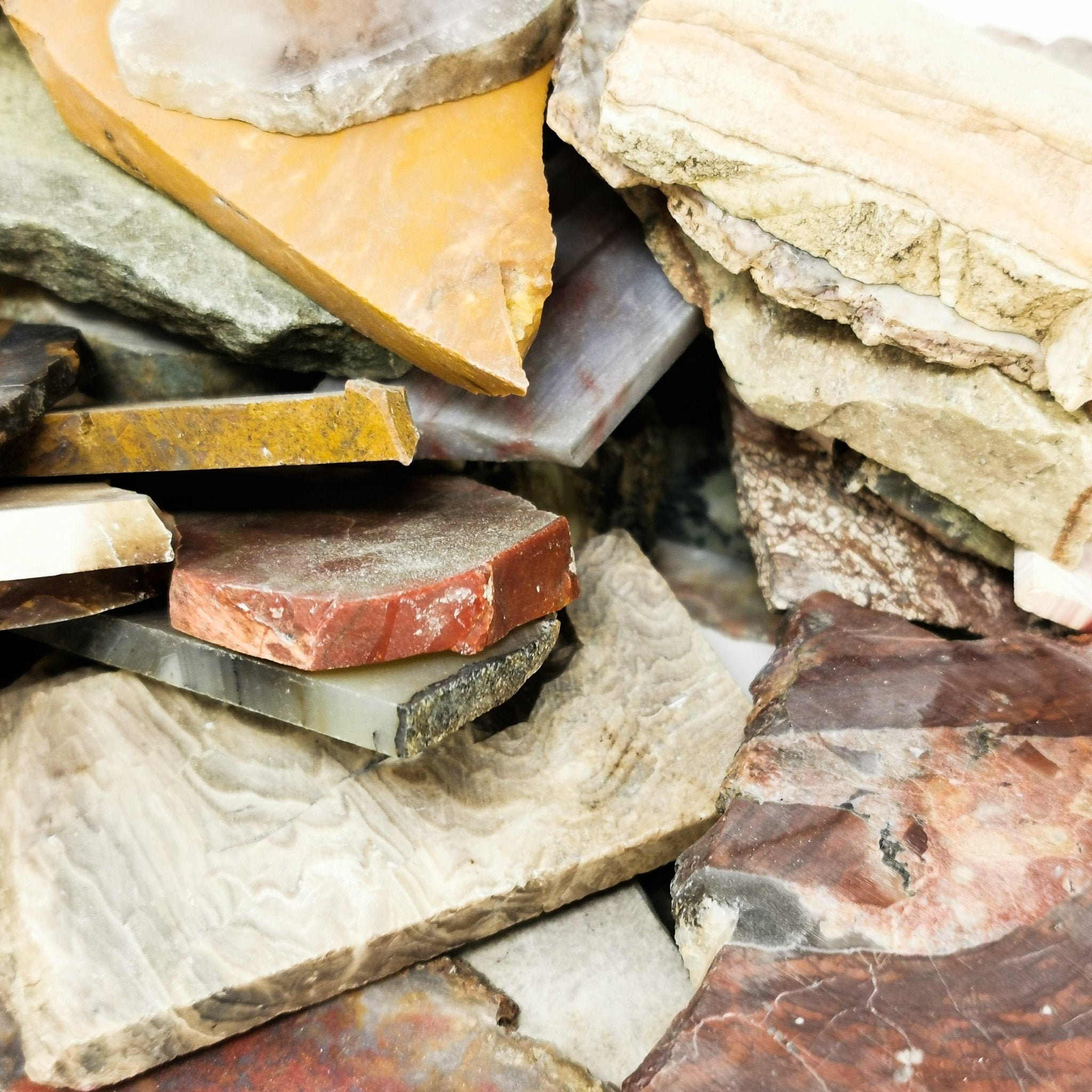 4 Dollar Lapidary Slab - Rough - Etsy