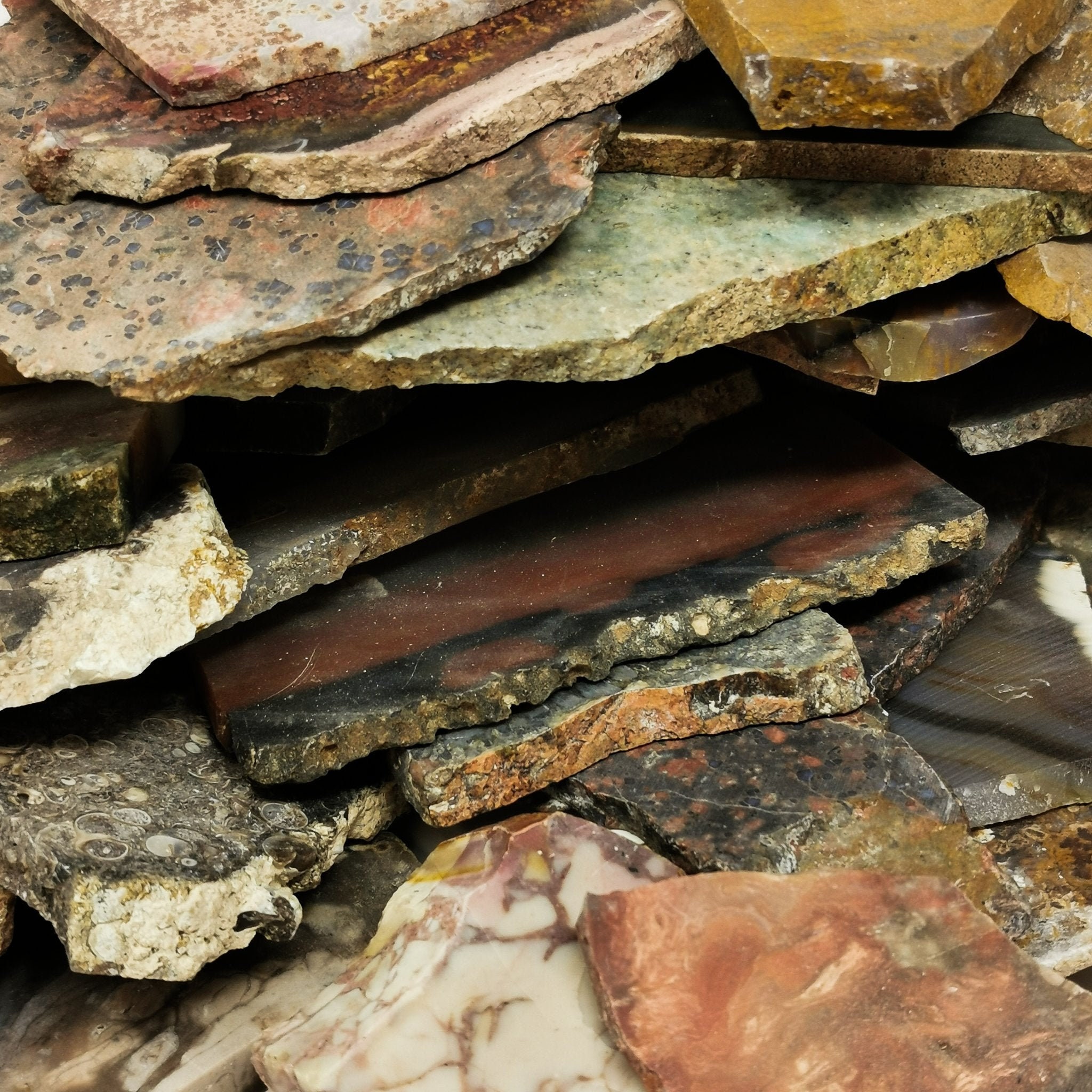 7 Dollar Lapidary Slab - Rough - Etsy