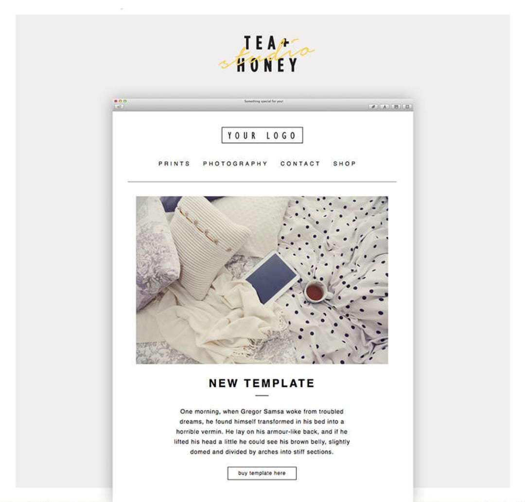 Email Newsletter Template, Mailchimp Customizable Template, Responsive ...