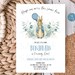 Editable Peter Rabbit Birthday Invitation Peter Rabbit Birthday Bunny ...