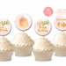 Peach Cupcake Toppers, Peach Birthday Party, Cupcake Toppers, Peach ...