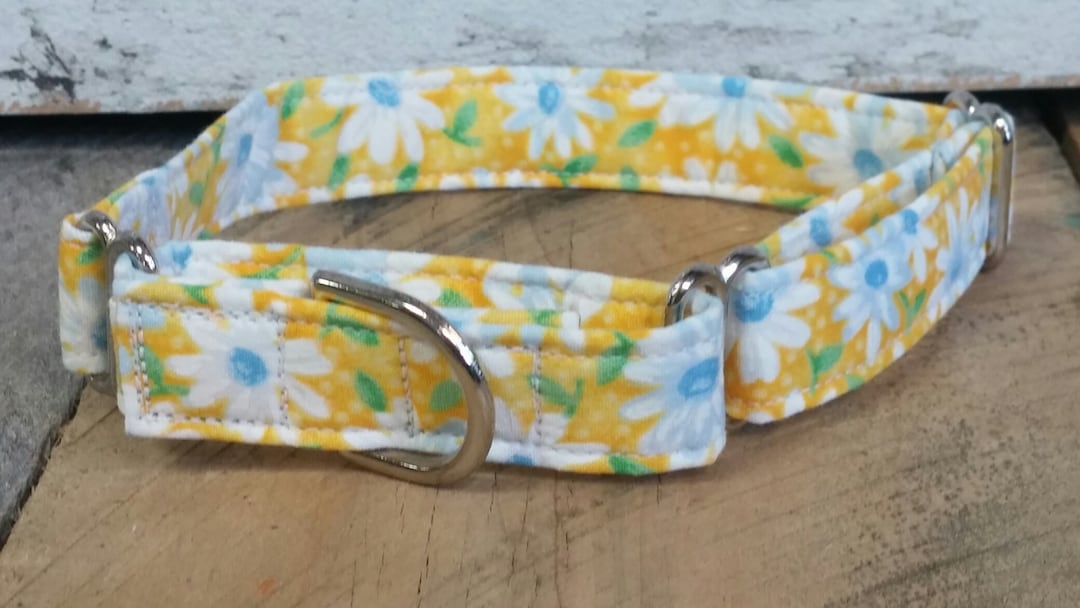 Daisy Dog Collar, Yellow Dog Collar, Floral Dog Collar, Flower Dog ...
