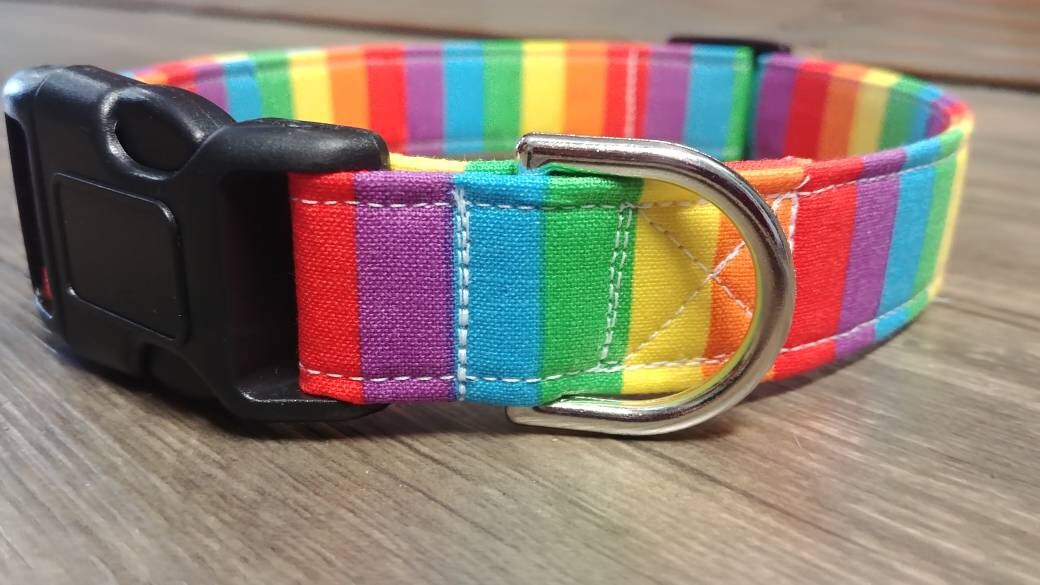 Gay Pride dog collar rainbow dog collar Pride Martingale | Etsy