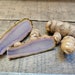 2 Rhizomes of Blue Turmeric. Curcuma Caesia. Freshly Harvested, Easy to ...