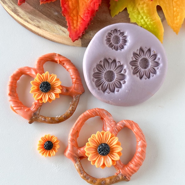 Silicone Mold, Miniature Raspberry / Blueberry Mold, Fruits Mold ...