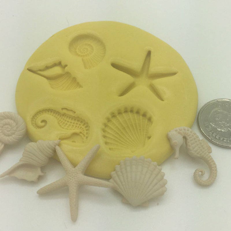Sea Shell Fondant Mould - Etsy