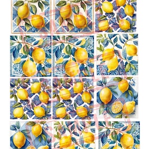 Amalfi Coast Italian Tile Lemon 2.5" Square Cookie or Cake Edible Image ...