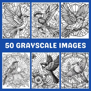 Stained Glass Birds: 50 Grayscale Designs Printable Coloring Book for ...