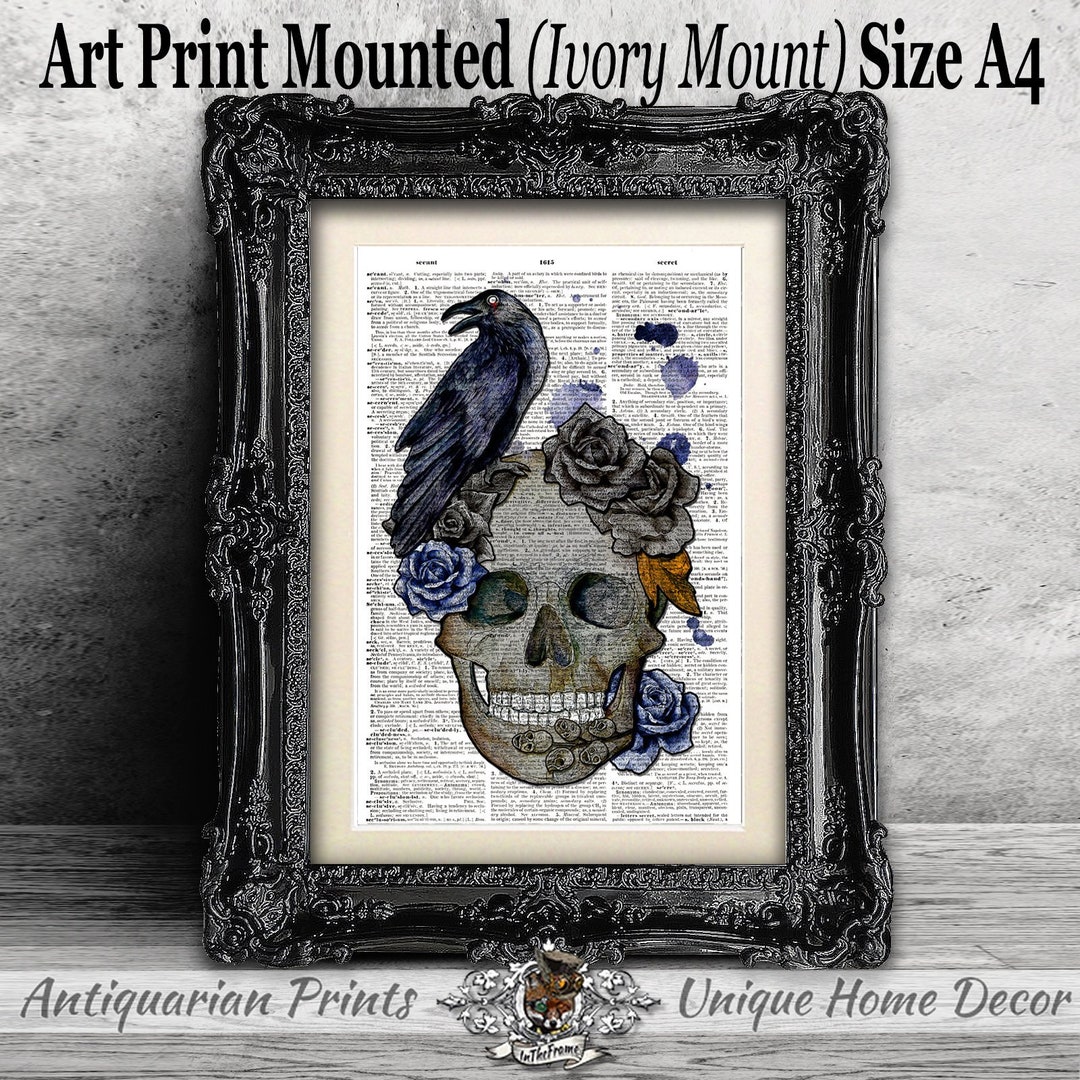Human Skull Print Antique Skull Anatomy Wall Art Poster Vintage Skull ...