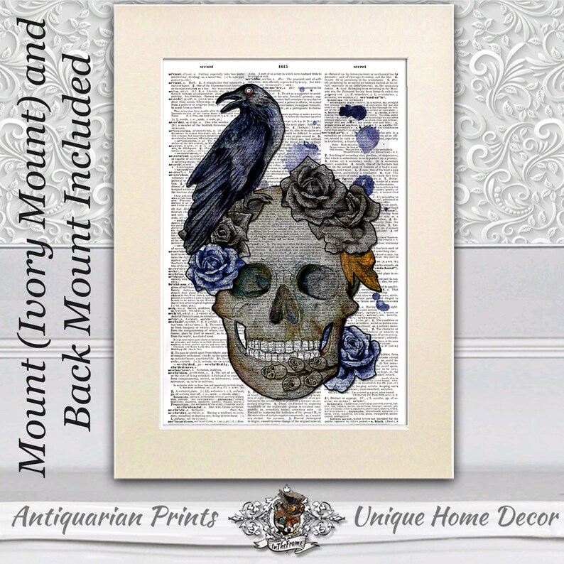 Human Skull Print Antique Skull Anatomy Wall Art Poster | Etsy