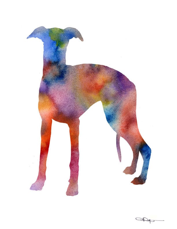 Whippet Art Print Abstract Watercolor Painting Wall Decor | Etsy