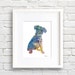 Jack Russell Terrier Art Print Abstract Watercolor Painting | Etsy