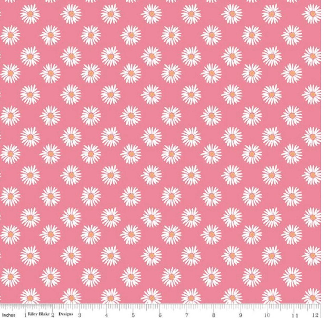 Riley Blake Flora No.6 by Echo Park Paper Co. C14461-pink, Daisy ...