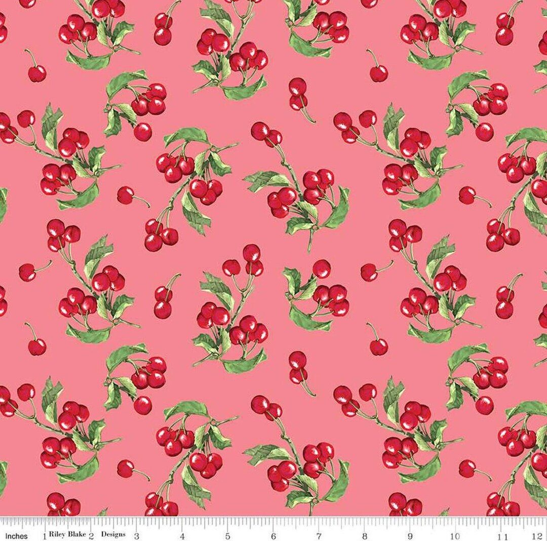 Mon Cheri Fabric by Lilatueller, Riley Blake Designs, C12654-raspberry ...
