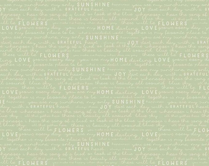Gingham Gardens, Riley Blake Fabrics, by My Mind’s Eye, C10354-green ...