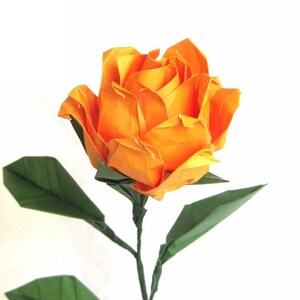 Paper Rose Gift | Premium Origami Rose | 1st Anniversary Gift | Paper ...