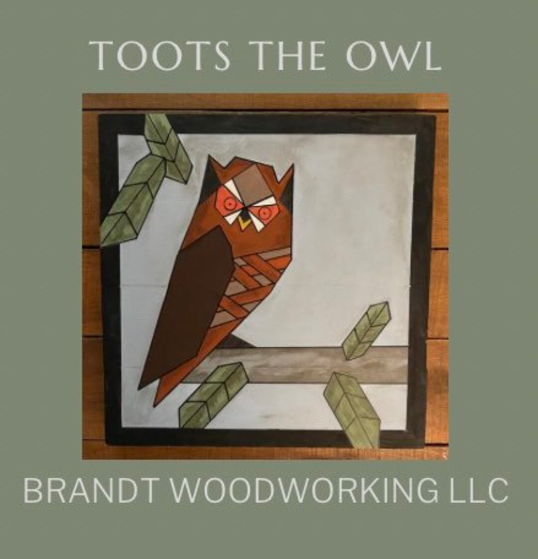 Toots the Owl Barn Quilt Hand Painted - Etsy