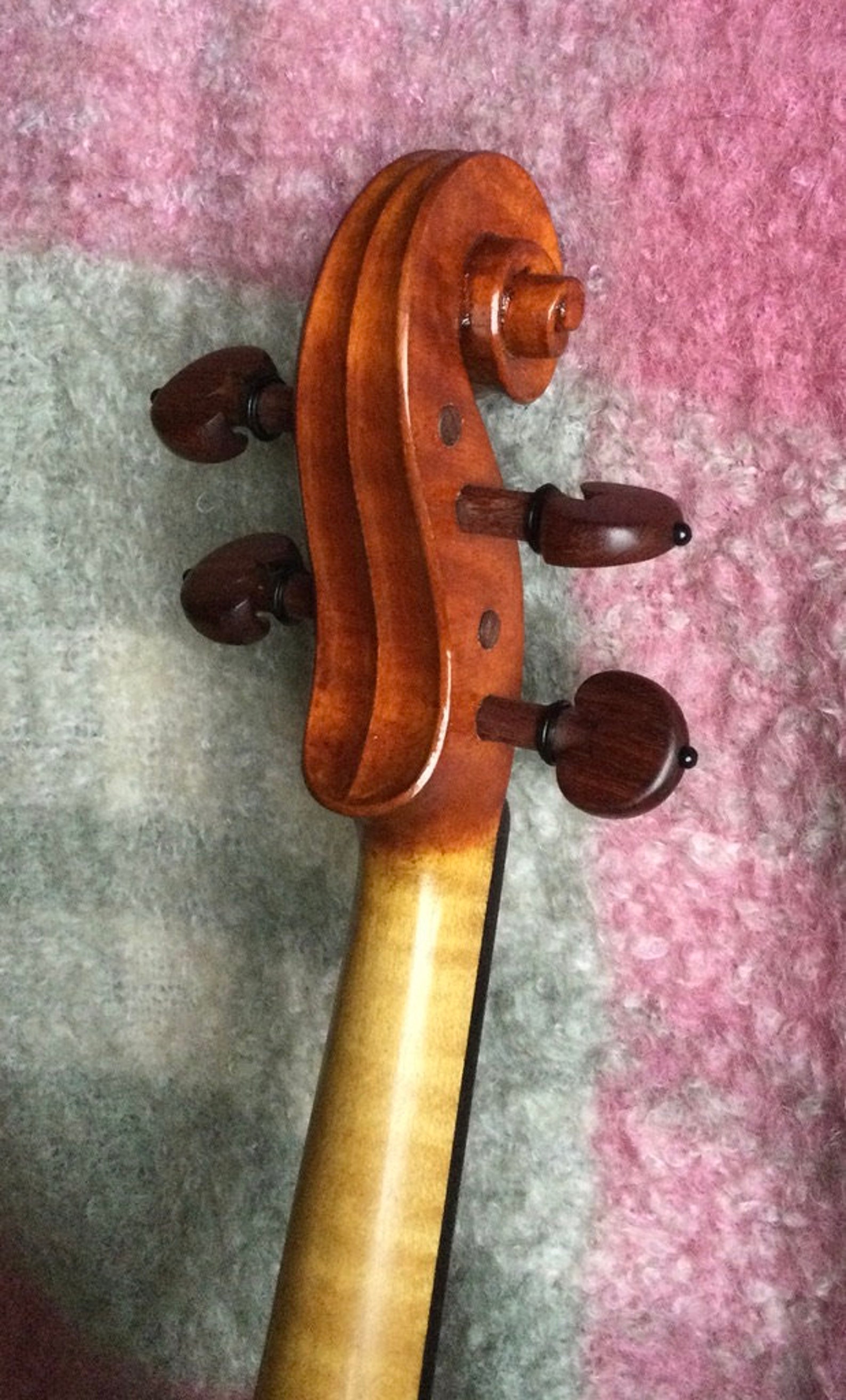 Amati Pattern Violin by Sydney Luthier Justin White - Etsy