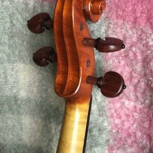 Amati Pattern Violin by Sydney Luthier Justin White - Etsy