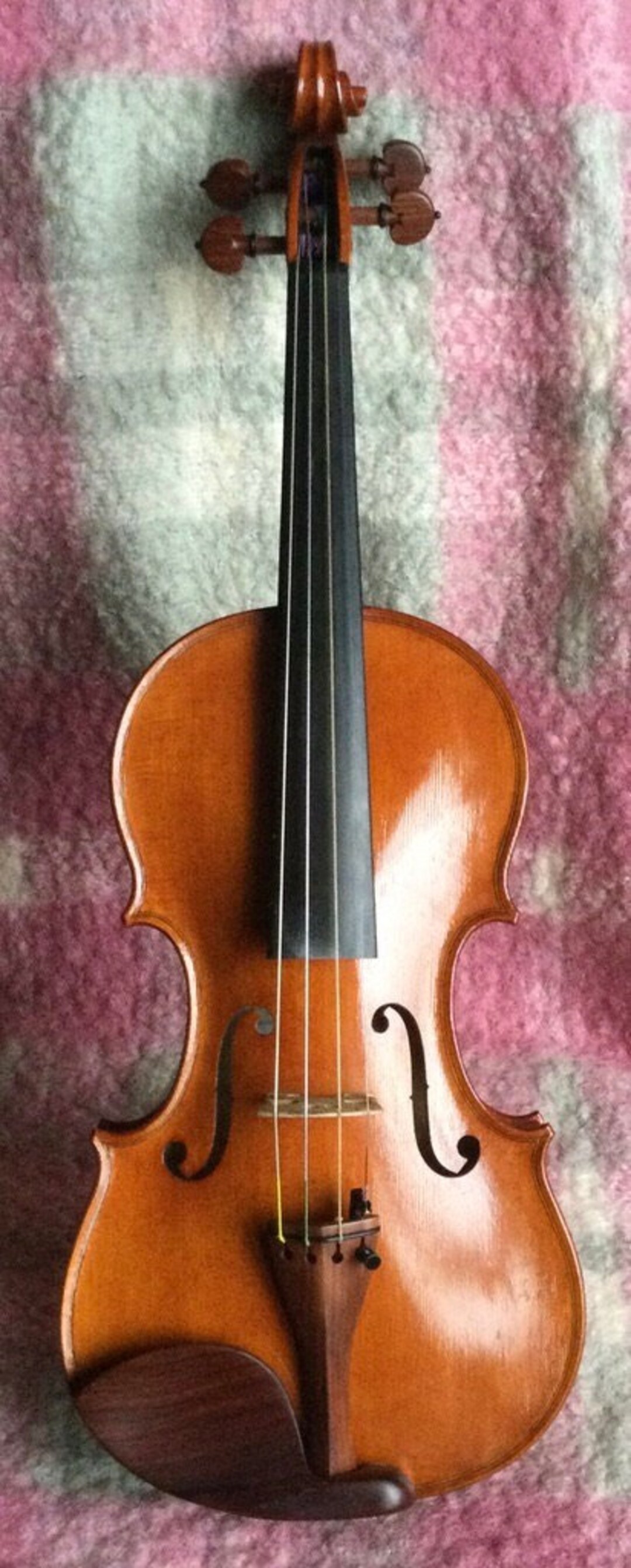 Amati Pattern Violin by Sydney Luthier Justin White - Etsy