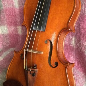 Amati Pattern Violin by Sydney Luthier Justin White - Etsy