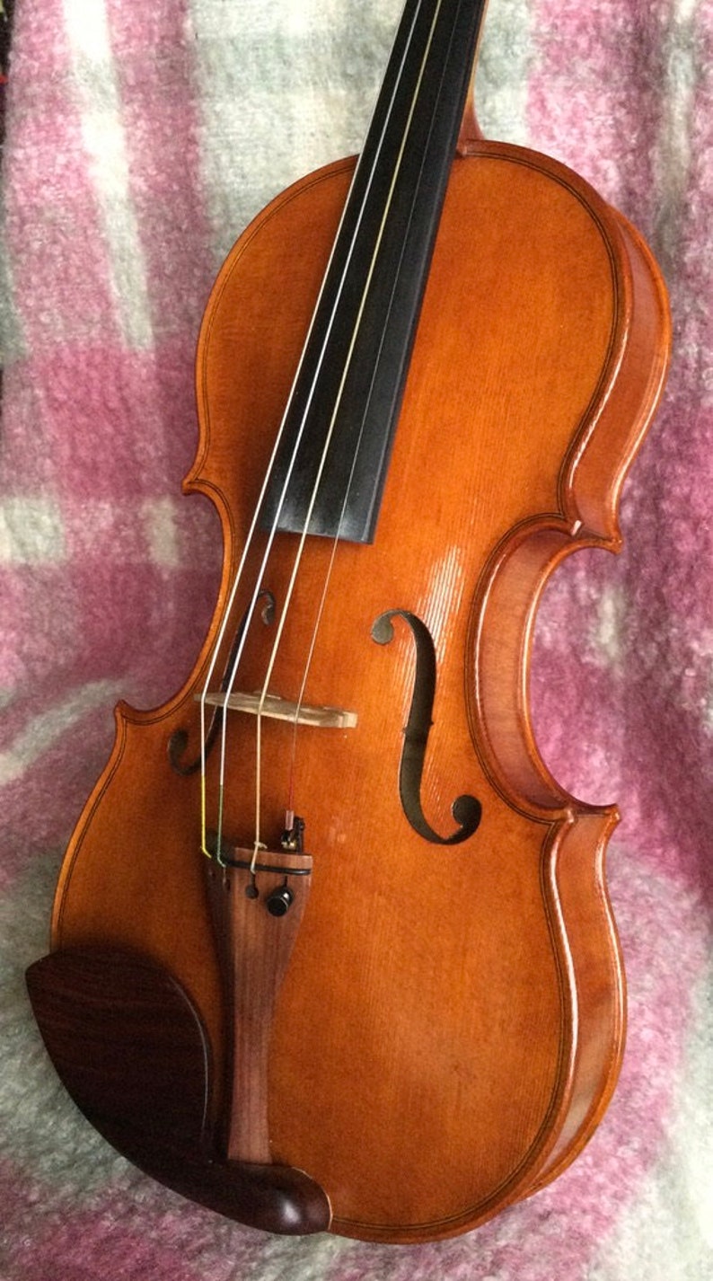 Amati Pattern Violin by Sydney Luthier Justin White - Etsy